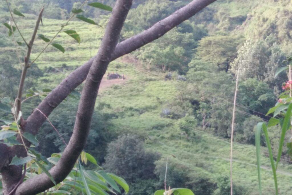 Jeolikot: A Hidden Slice of Nature on the Haldwani-Delhi Route - Our ...